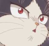 DOUKYONIN WA HIZA, TOKIDOKI, ATAMA NO UE Shares New Footage In Latest ...